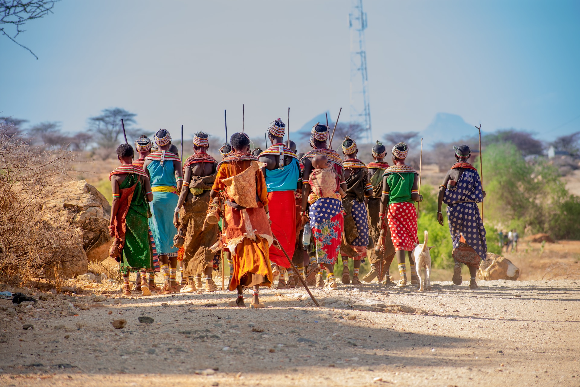 10 Days Kenya Wildlife Safari Scenery & Culture, Kenya Tour, Kenya ...