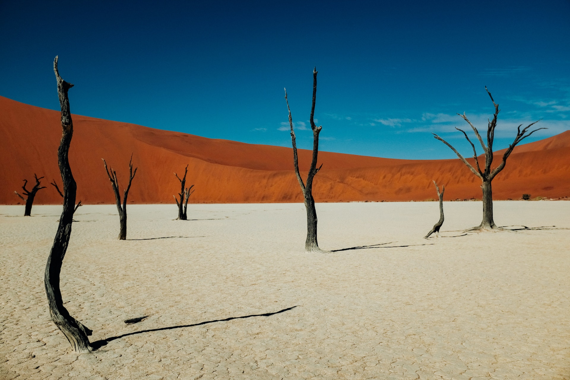 Namibia Attractions - African Safari Tours